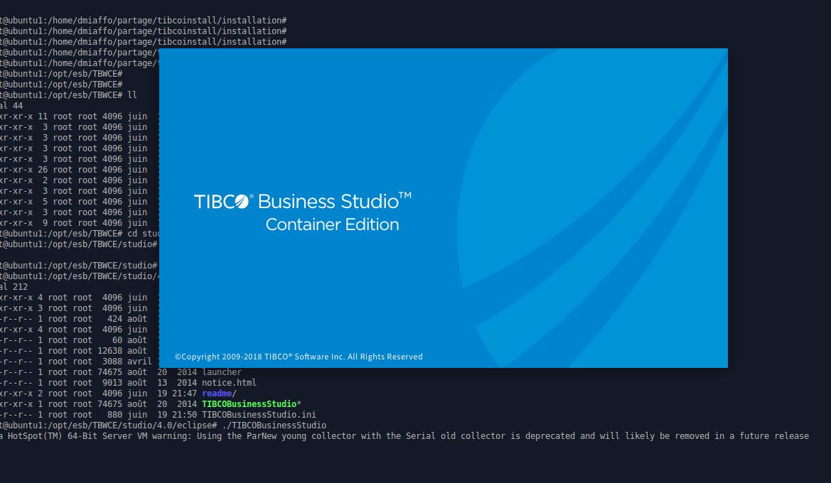 TIBCO BusinessWorks 6 Container Edition - Installation et prise en main - MIAFFO.NET